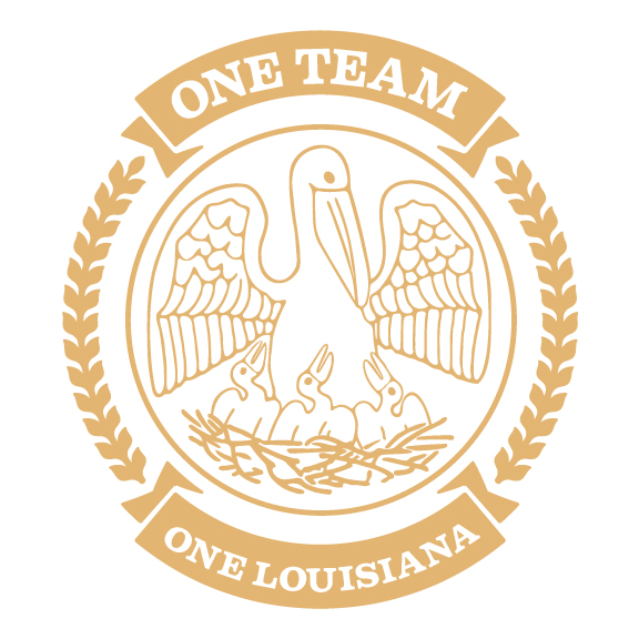 Brand System - One Team LA